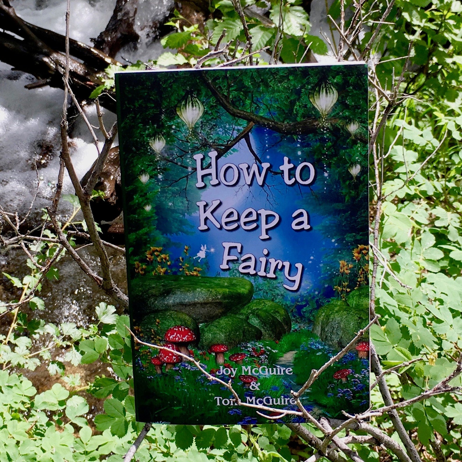 Fairy Book How to Keep a Fairy picture book on fairies | Etsy
