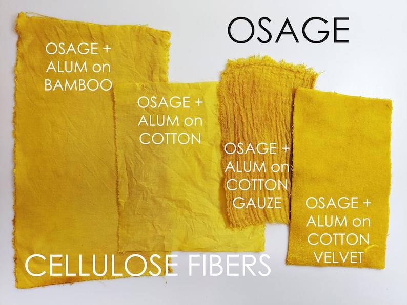 NATURAL DYE - OSAGE - Bulk Powder Dyestuff - 40 Grams - Yellow Golden ...