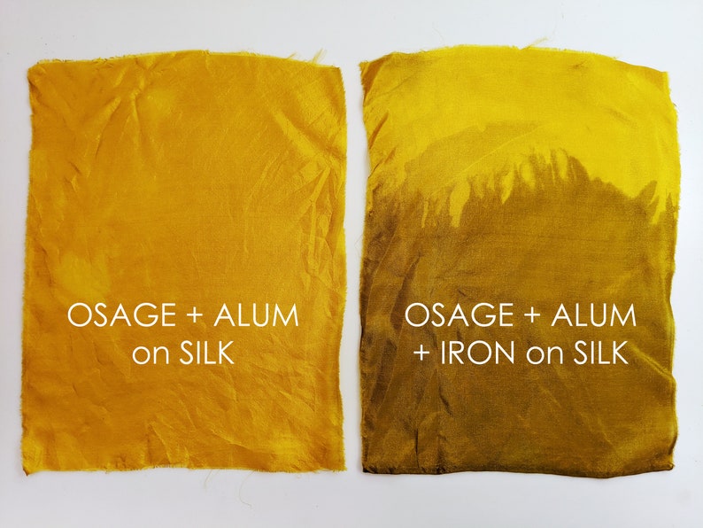 NATURAL DYE - OSAGE - Bulk Powder Dyestuff - 40 Grams - Yellow Golden ...