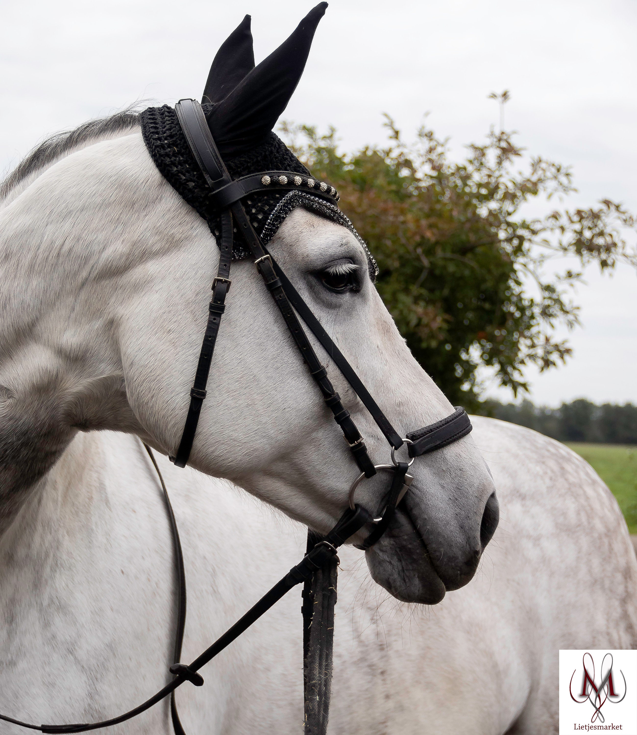 Black Shiny Fly Bonnet Kentucky Style With Black Strass Chain | Etsy