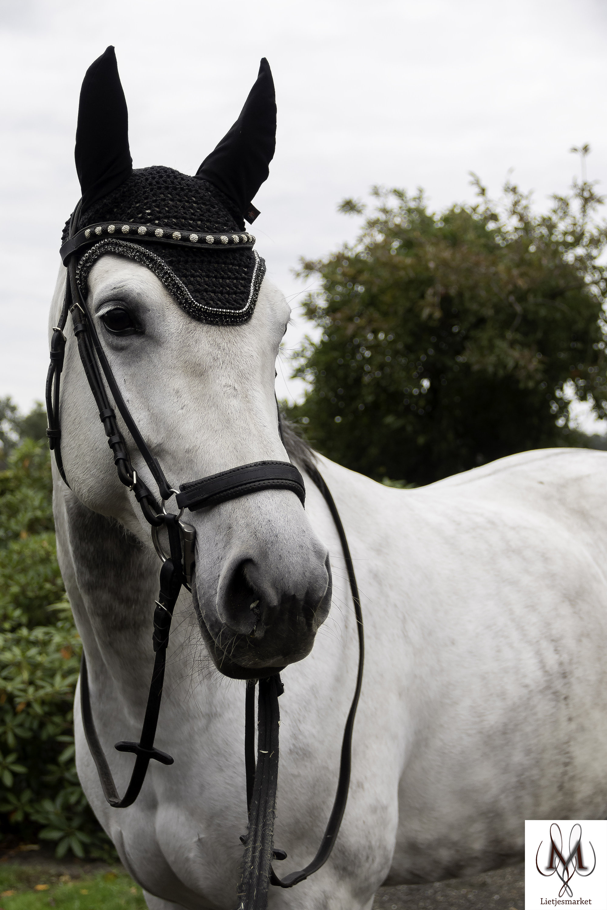 Black Shiny Fly Bonnet Kentucky Style With Black Strass Chain | Etsy