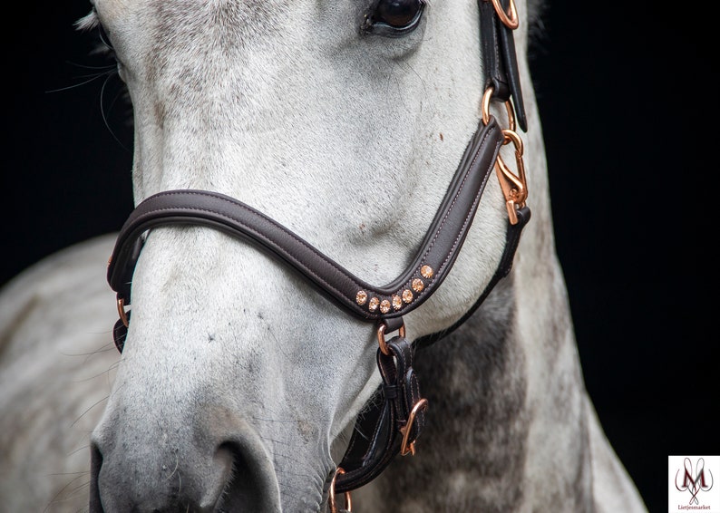 Anatomisches Halfter aus braunem Leder, braunes Halfter Pferd roségold ...