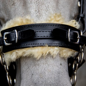Hackamore Zwart Flower Wheel Silver With Fur Noseband Black Leather ...