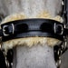 Hackamore Zwart Flower Wheel Silver With Fur Noseband Black Leather ...
