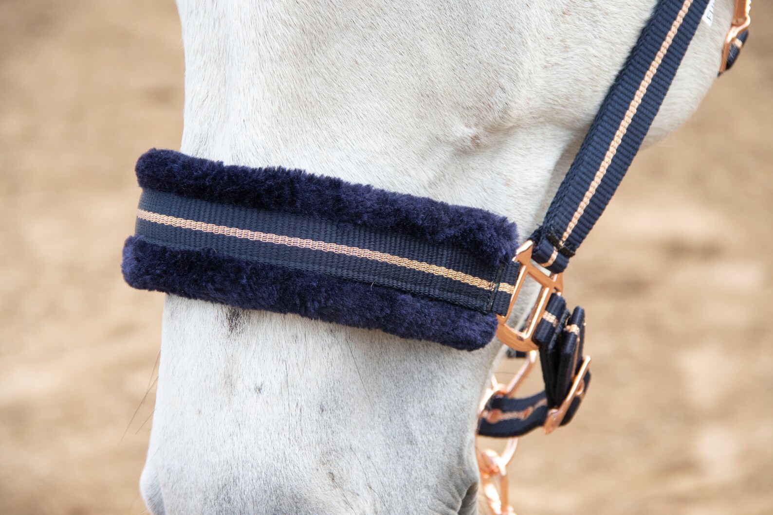 Rose Gold Halster in Blue or Black, Fur Halter Horse, Pony Halter Rose ...