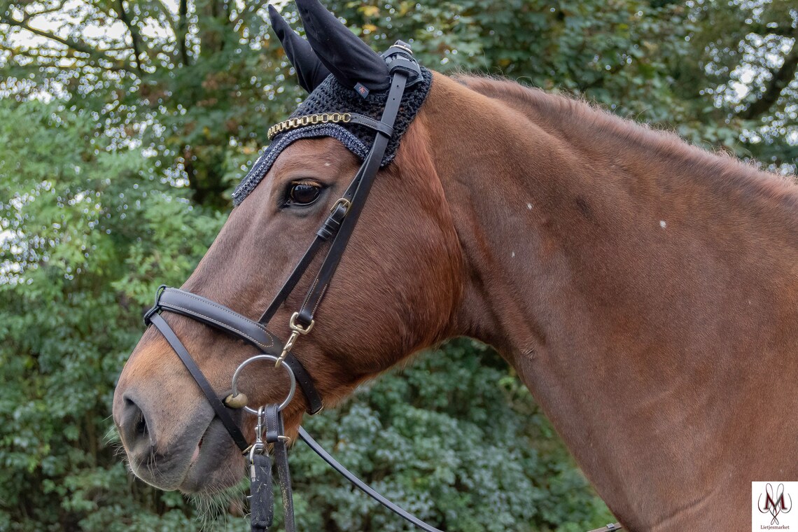 Black Shiny Fly Bonnet Kentucky Style With Black Strass Chain | Etsy