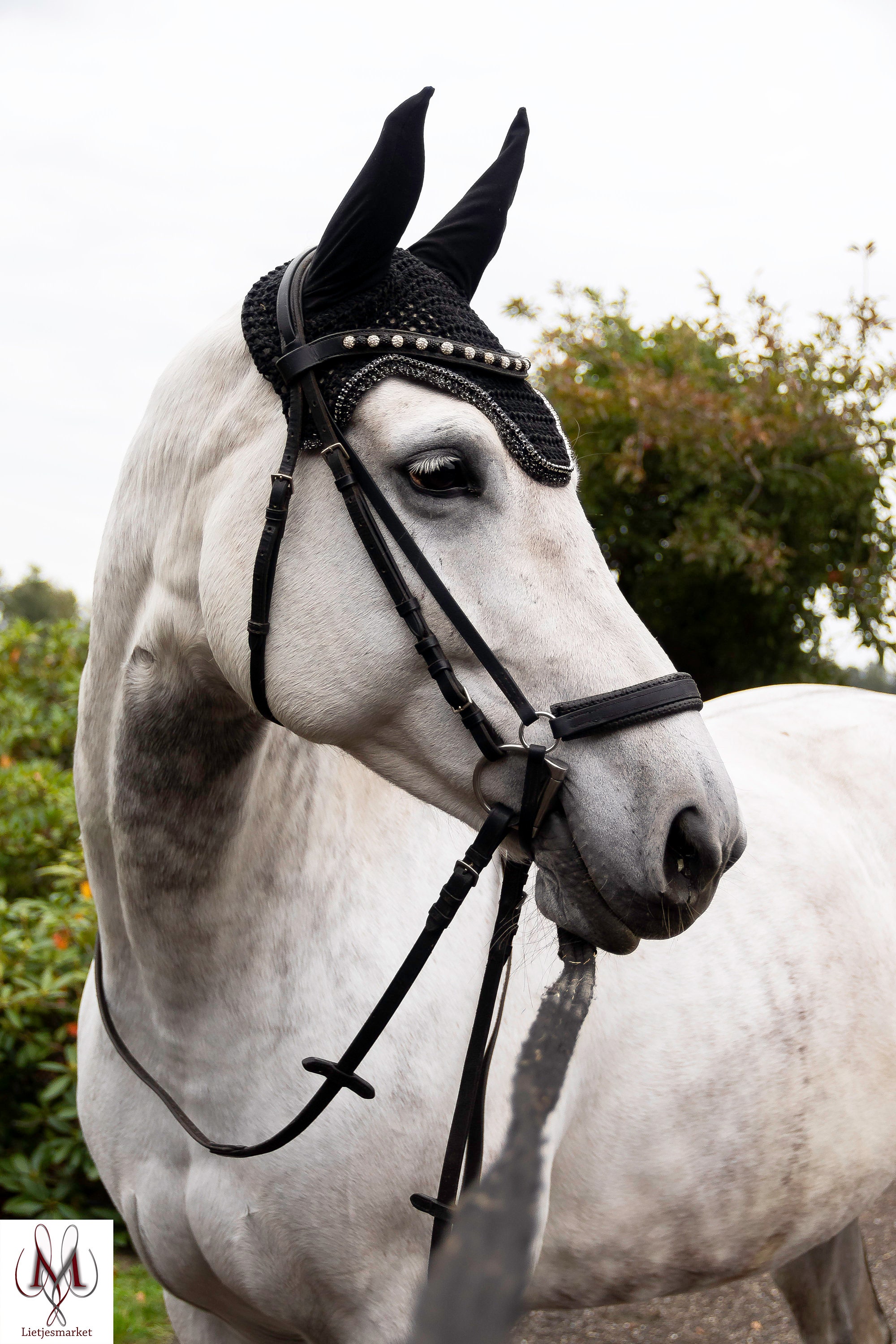 Black Shiny Fly Bonnet Kentucky Style With Black Strass Chain | Etsy