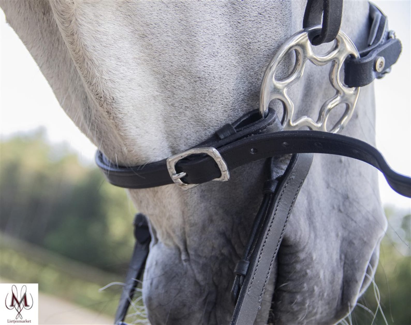 Hackamore Noseband in Baroque Style Star Wheel Black Noseband - Etsy