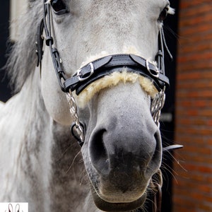 Hackamore Zwart Flower Wheel Silver With Fur Noseband Black Leather ...