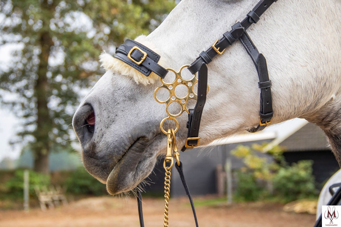 Hackamore bridle black with gold flower wheel with fur | Etsy