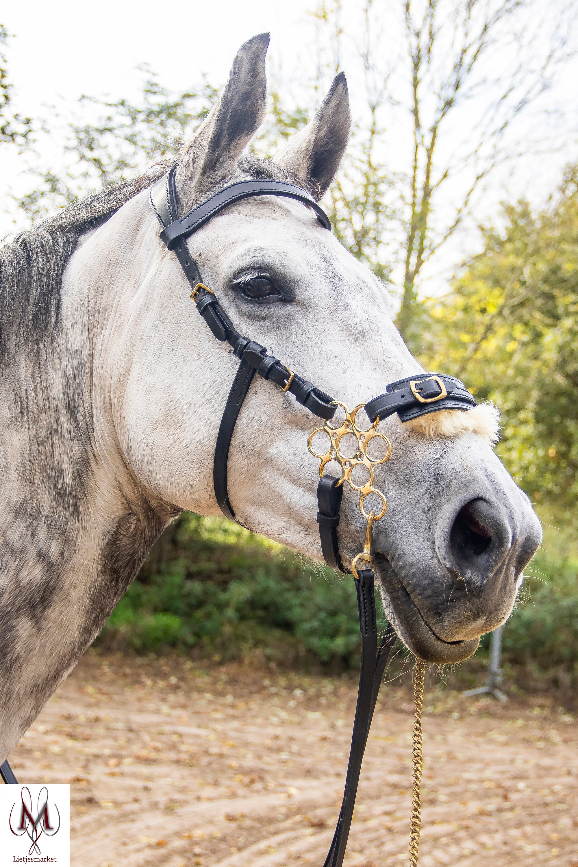 Hackamore bridle black with gold flower wheel with fur | Etsy