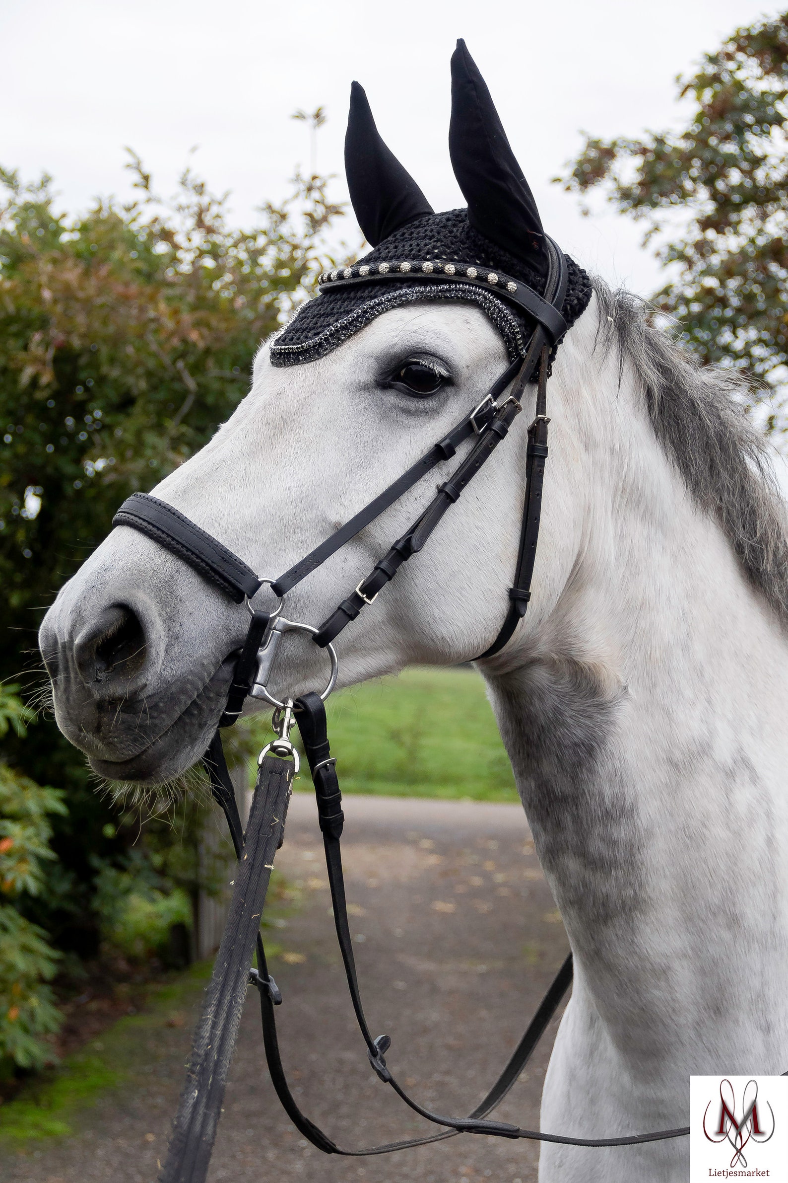 Black Shiny Fly Bonnet Kentucky Style With Black Strass Chain | Etsy