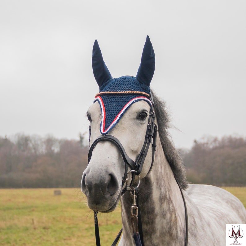 Cheval bleu à longue oreille chapeau à longue mouche filet - Etsy France