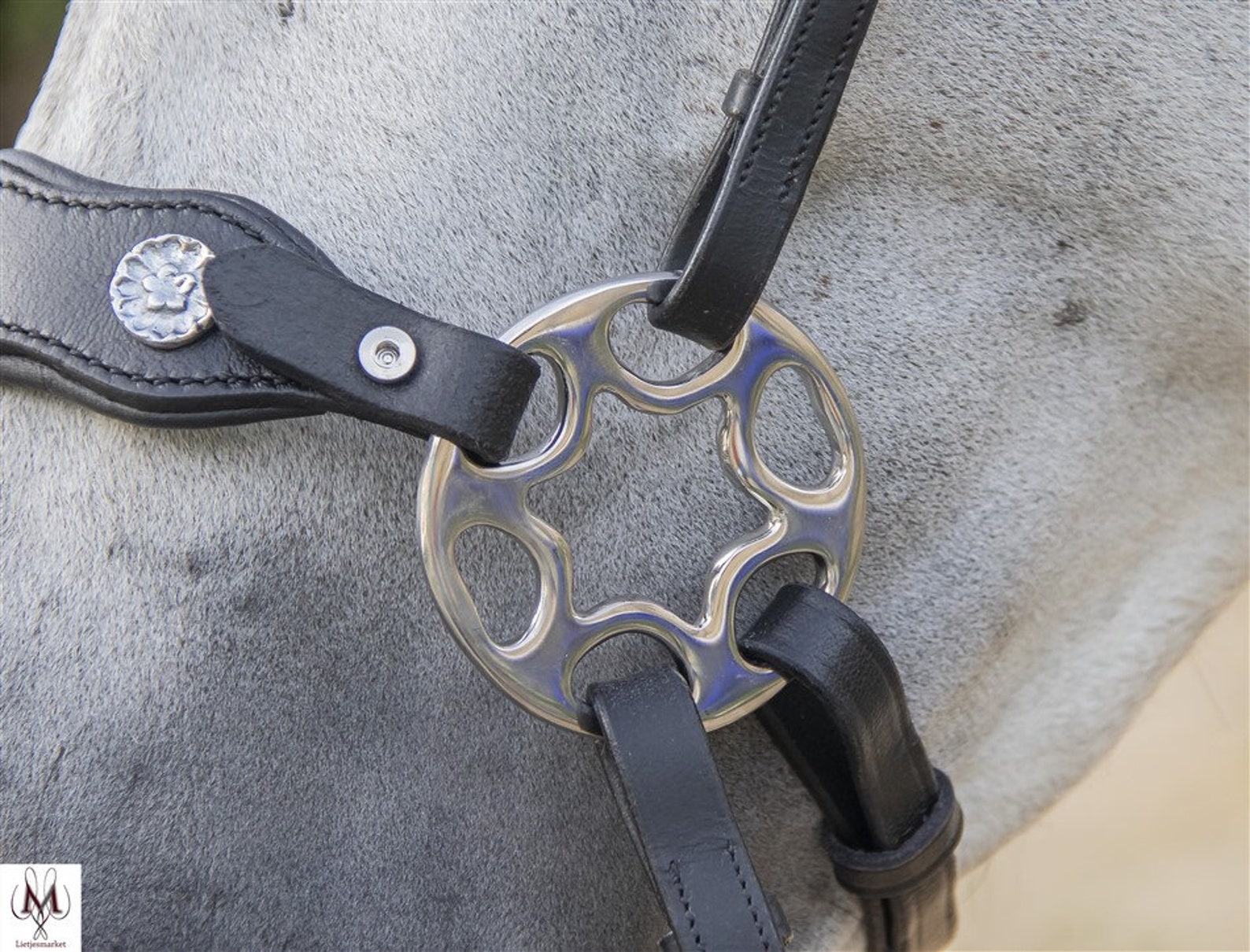 Hackamore Noseband in Baroque Style Star Wheel Black Noseband - Etsy