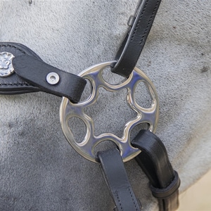 Hackamore Noseband in Baroque Style Star Wheel, Black Noseband and ...