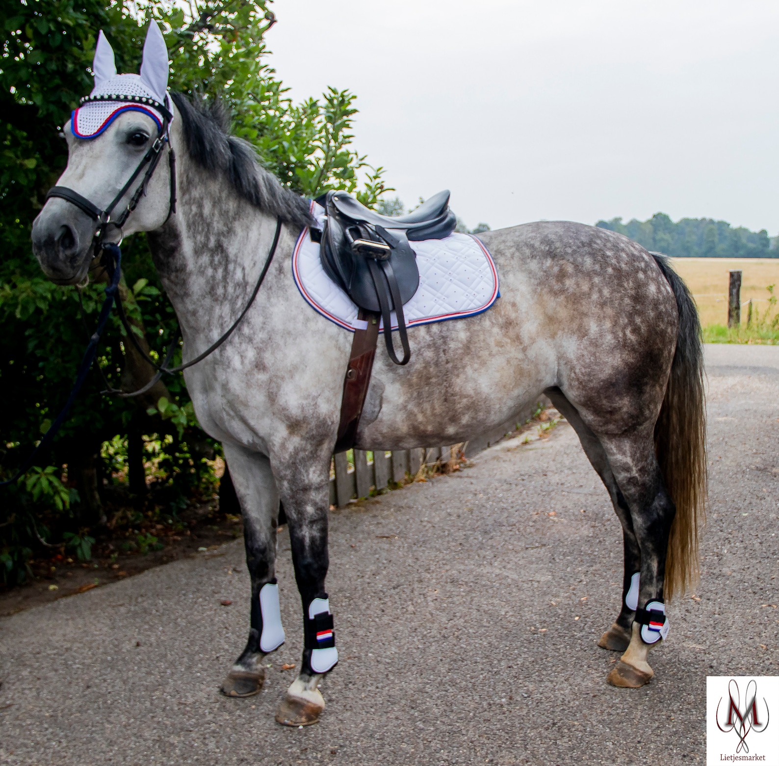 Saddle Pad White White Saddlepad Rhinestones Dressage Saddle - Etsy