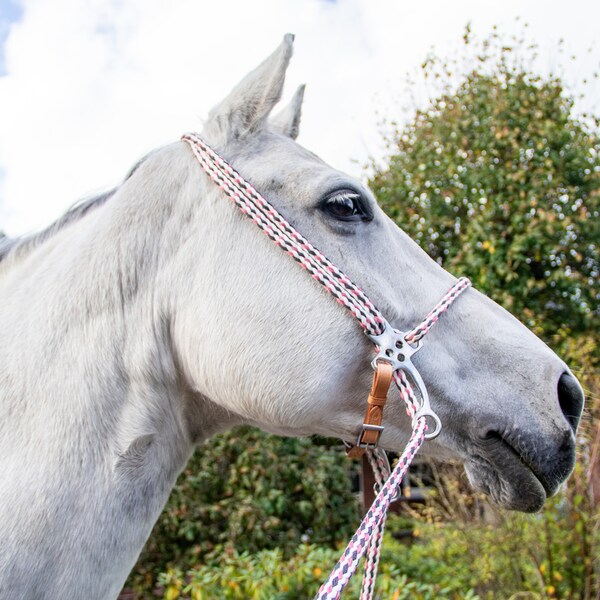 Rope Bridle - Etsy
