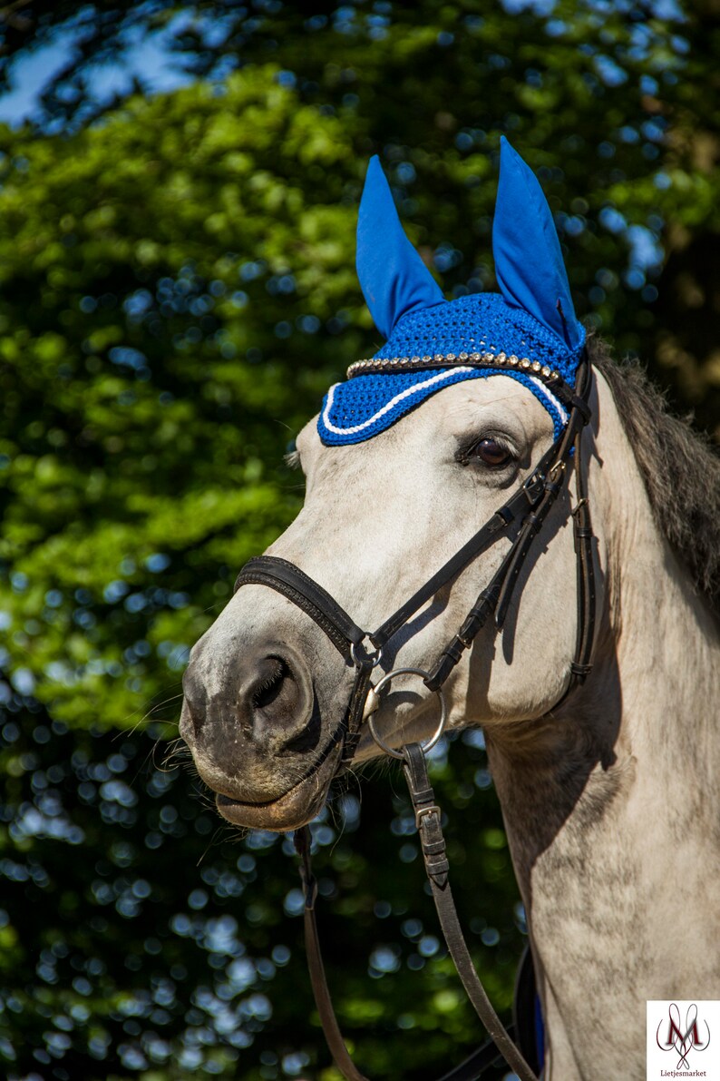 Cobalt Blue Fly Bonnet Horse Fly Bonnet Blue Cobalt Blue Ear - Etsy