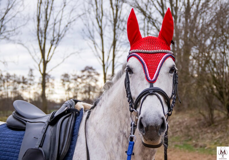 Long Red Fly Bonnet With Red Strass Red Strass Fly Bonnet - Etsy
