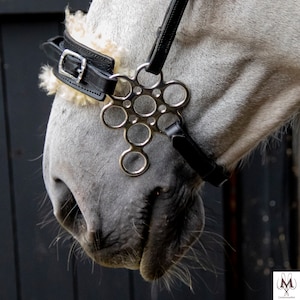 Hackamore Zwart Flower Wheel Silver With Fur Noseband Black Leather ...