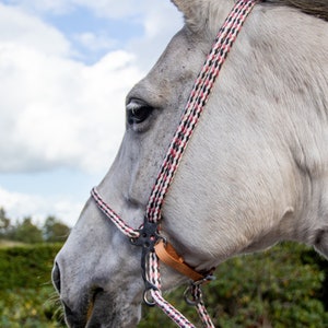 Bitless Bridle Fra Jaspis. Hackamore Vegan Cotton Bridle for the Horse ...