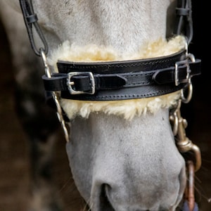Hackamore Zwart Flower Wheel Silver With Fur Noseband Black Leather ...