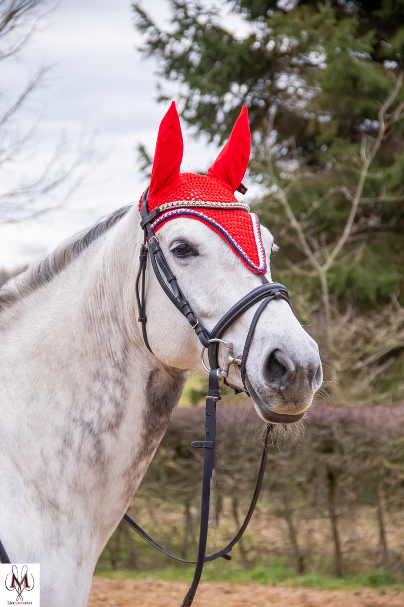 Long Red Fly Bonnet With Red Strass Red Strass Fly Bonnet - Etsy