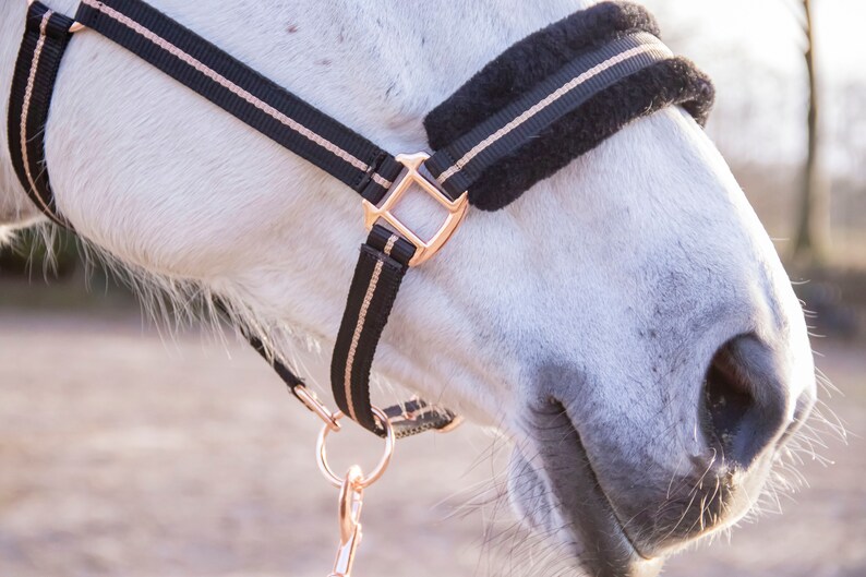 Rose Gold Halster in Blue or Black, Fur Halter Horse, Pony Halter Rose ...