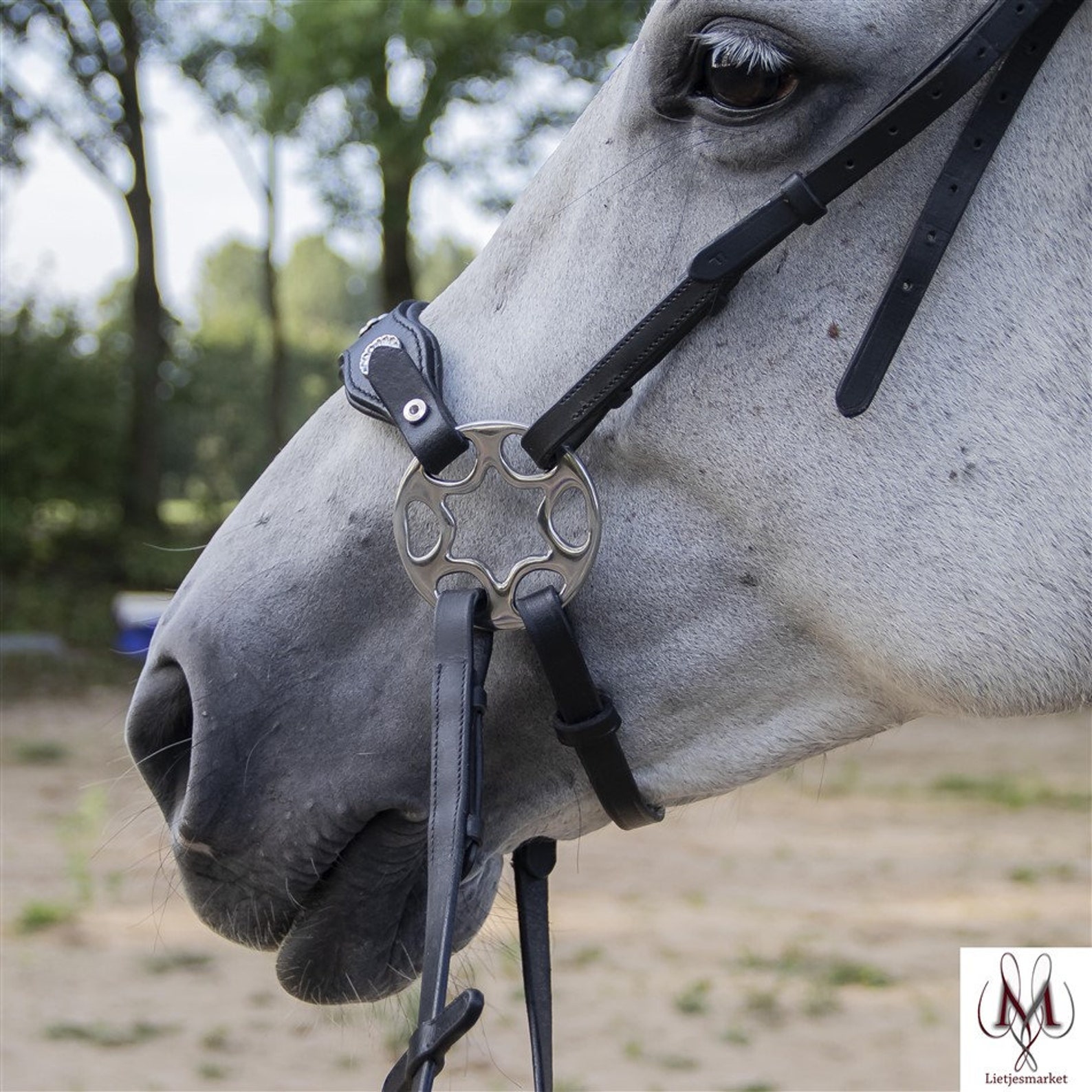 Hackamore Noseband in Baroque Style Star Wheel Black Noseband - Etsy