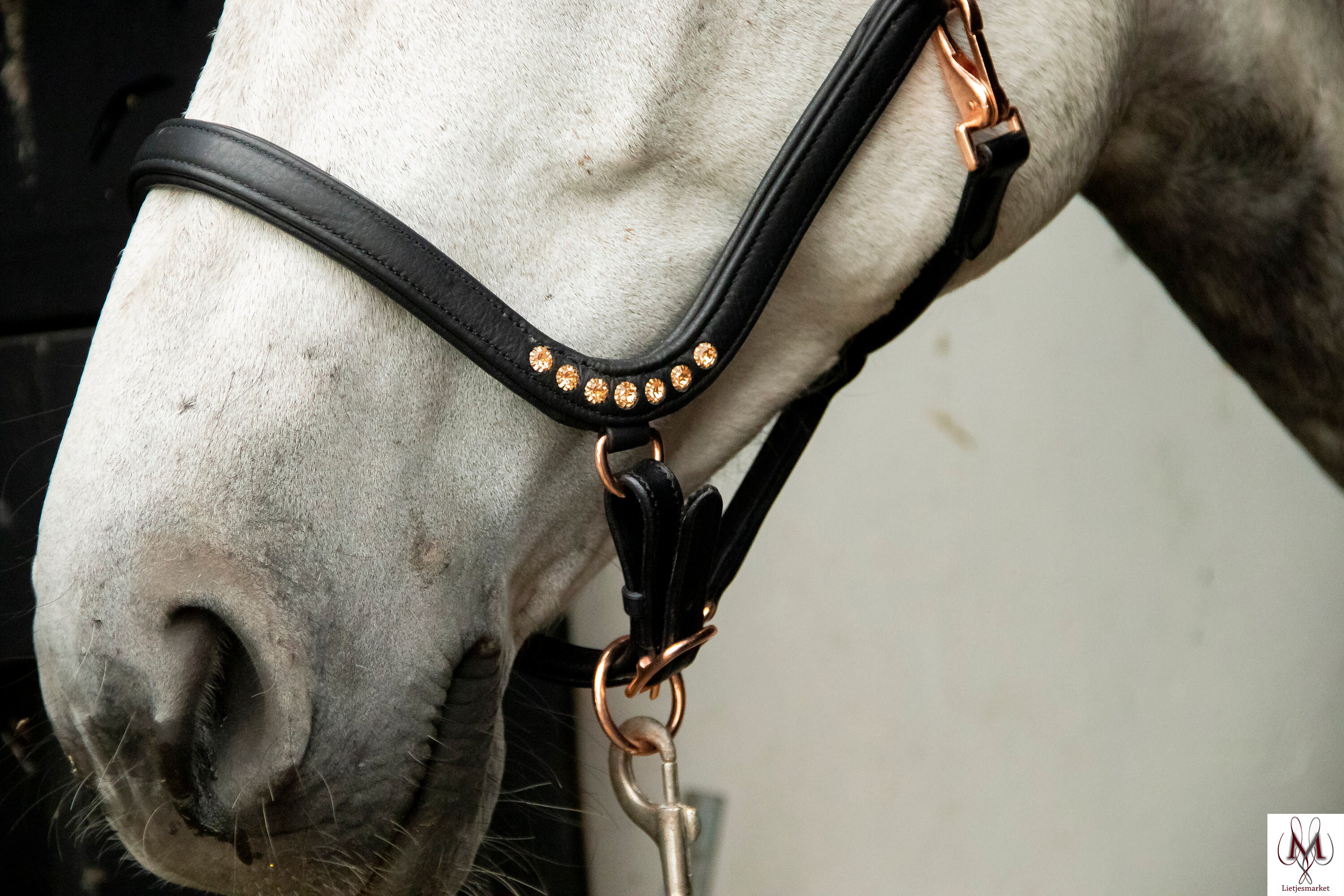 Leather Halter Anatomic Rose Gold Black Head Collar Horse | Etsy