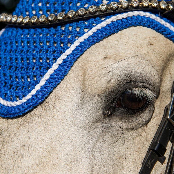 Cobalt Blue Bonnet - Etsy