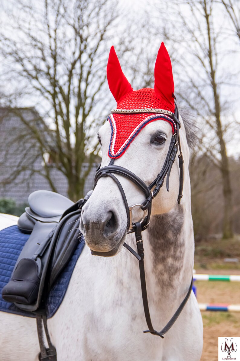 Long Red Fly Bonnet With Red Strass Red Strass Fly Bonnet - Etsy