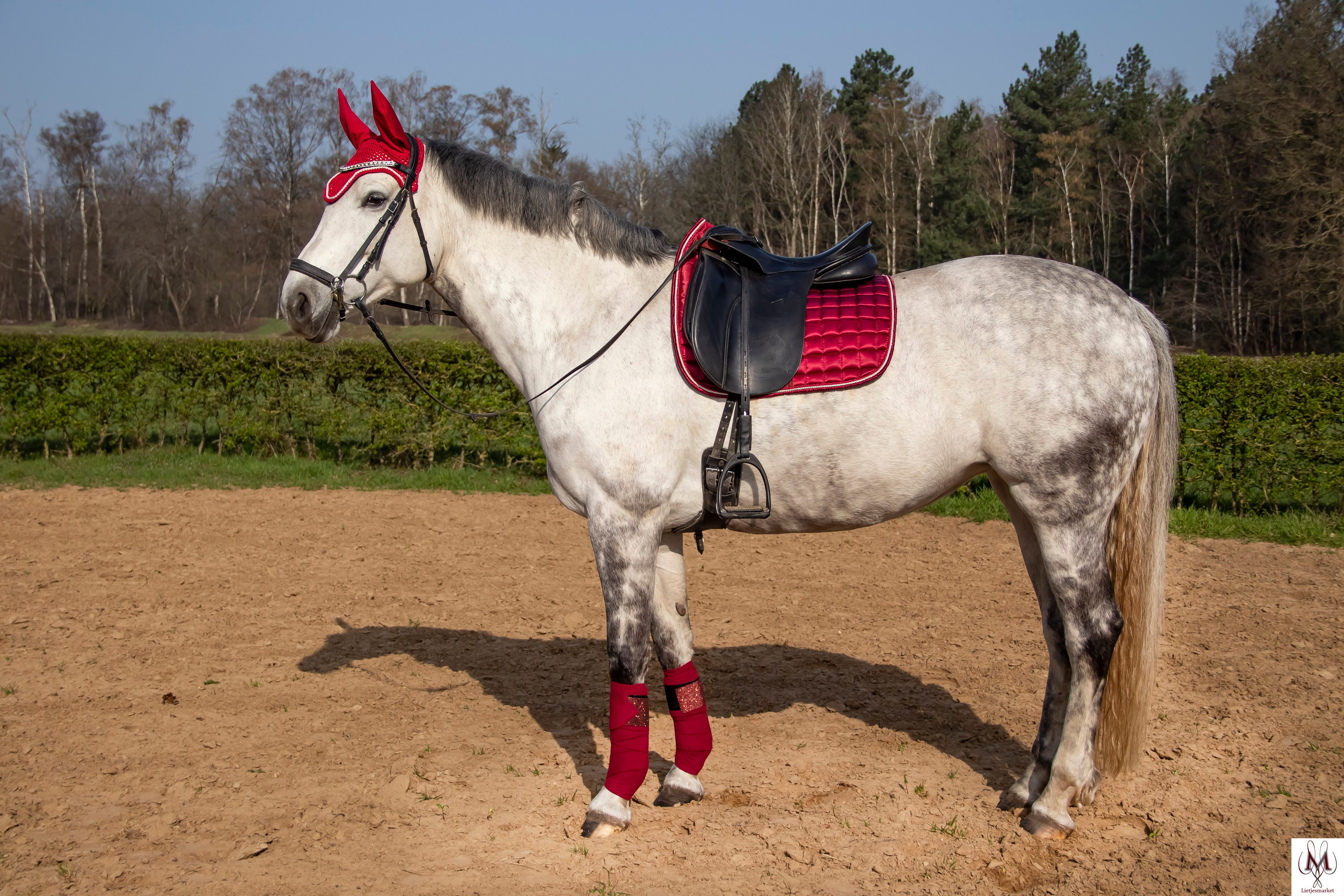 Burgundy red saddle pad saddle pad red dressage saddle pad | Etsy