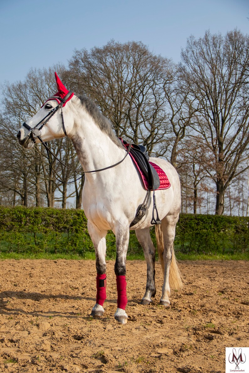 Burgundy Red Saddle Pad Saddle Pad Red Dressage Saddle Pad - Etsy