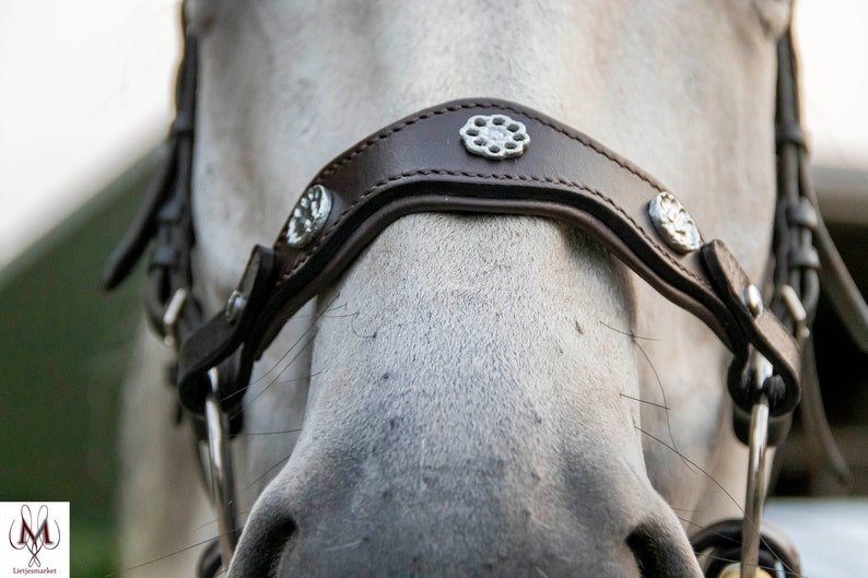 Hackamore Noseband in Baroque Style Star Wheel Black Noseband - Etsy
