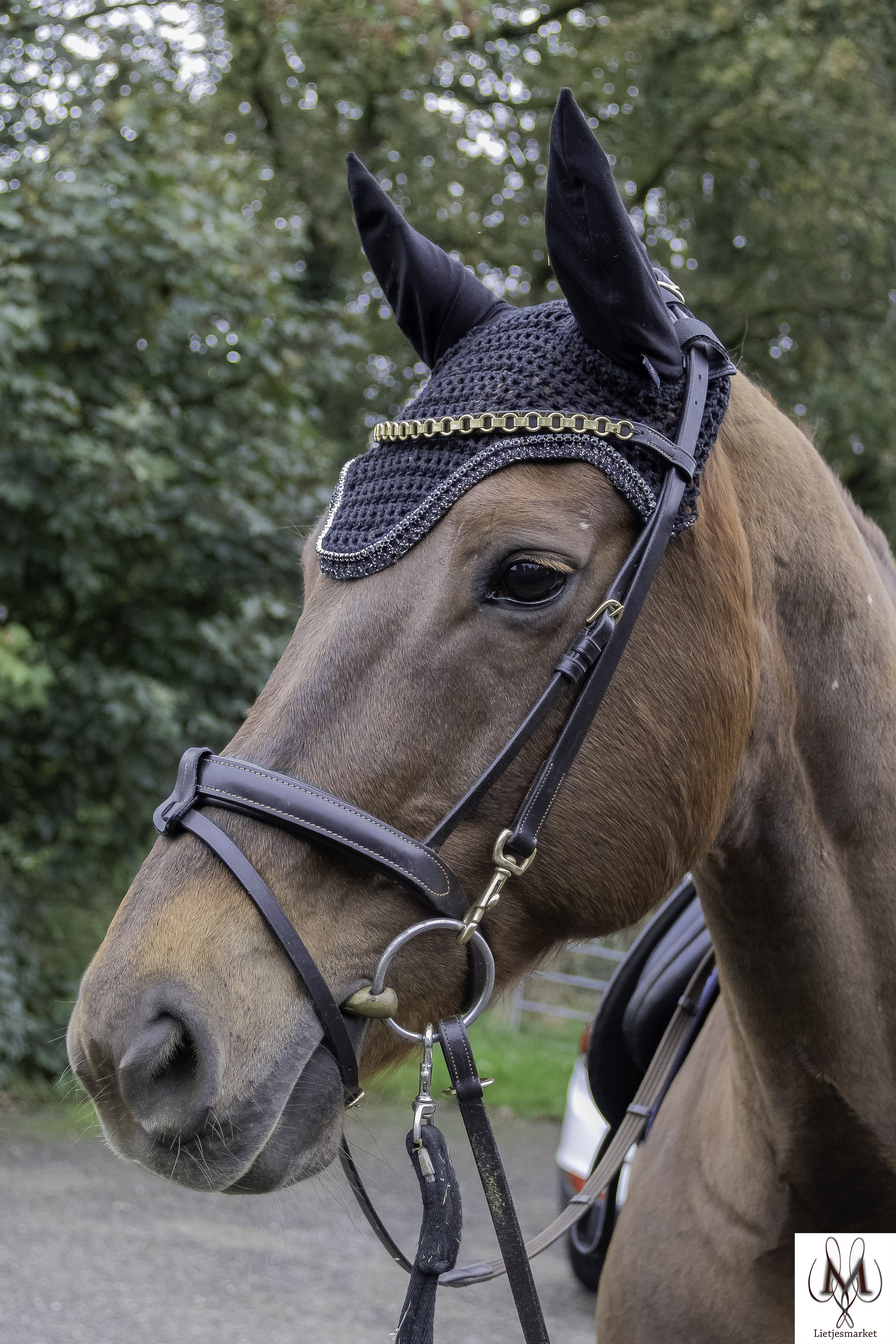 Black Shiny Fly Bonnet Kentucky Style With Black Strass Chain | Etsy