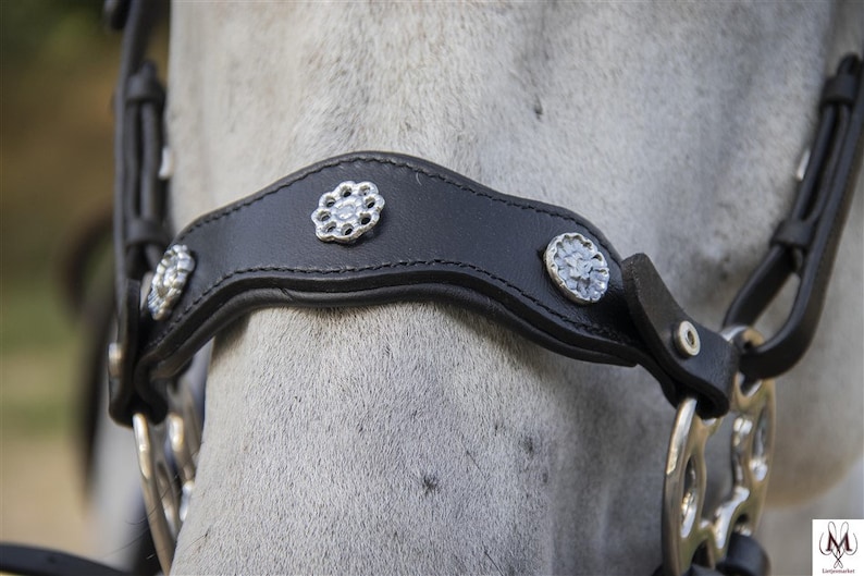 Hackamore Noseband in Baroque Style Star Wheel Black Noseband - Etsy