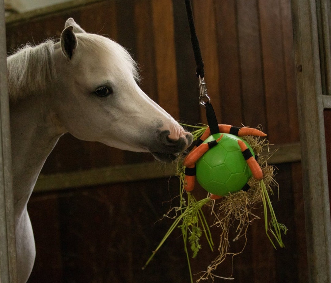 Play Ball for Horses, Slow Feder for Hay, Carrots and Herbs. Tor Stable ...