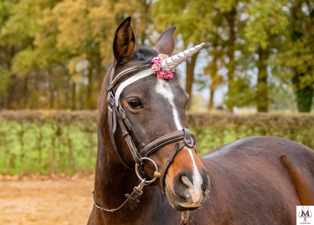 Zilver Unicorn Horn for Horse, Flower Unicorn Horn Pony, Fantasy ...