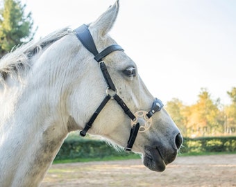 Nosebandless Bridle - Etsy