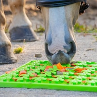 Lemon Horse Jump Fillers - Etsy