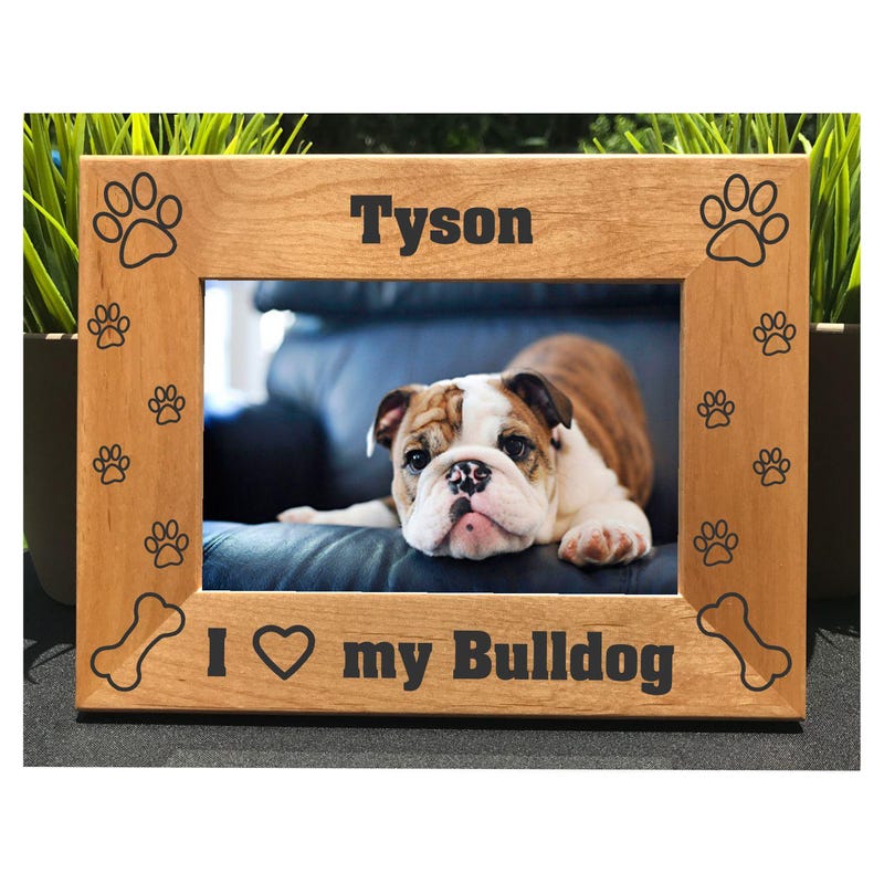 Bulldog Photo - Etsy