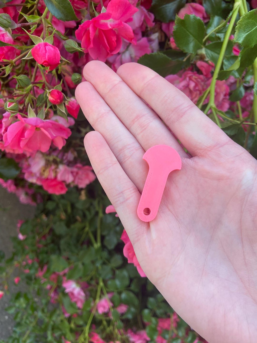 Trolley Token Aldi Australia 3D Printed PINK - Etsy