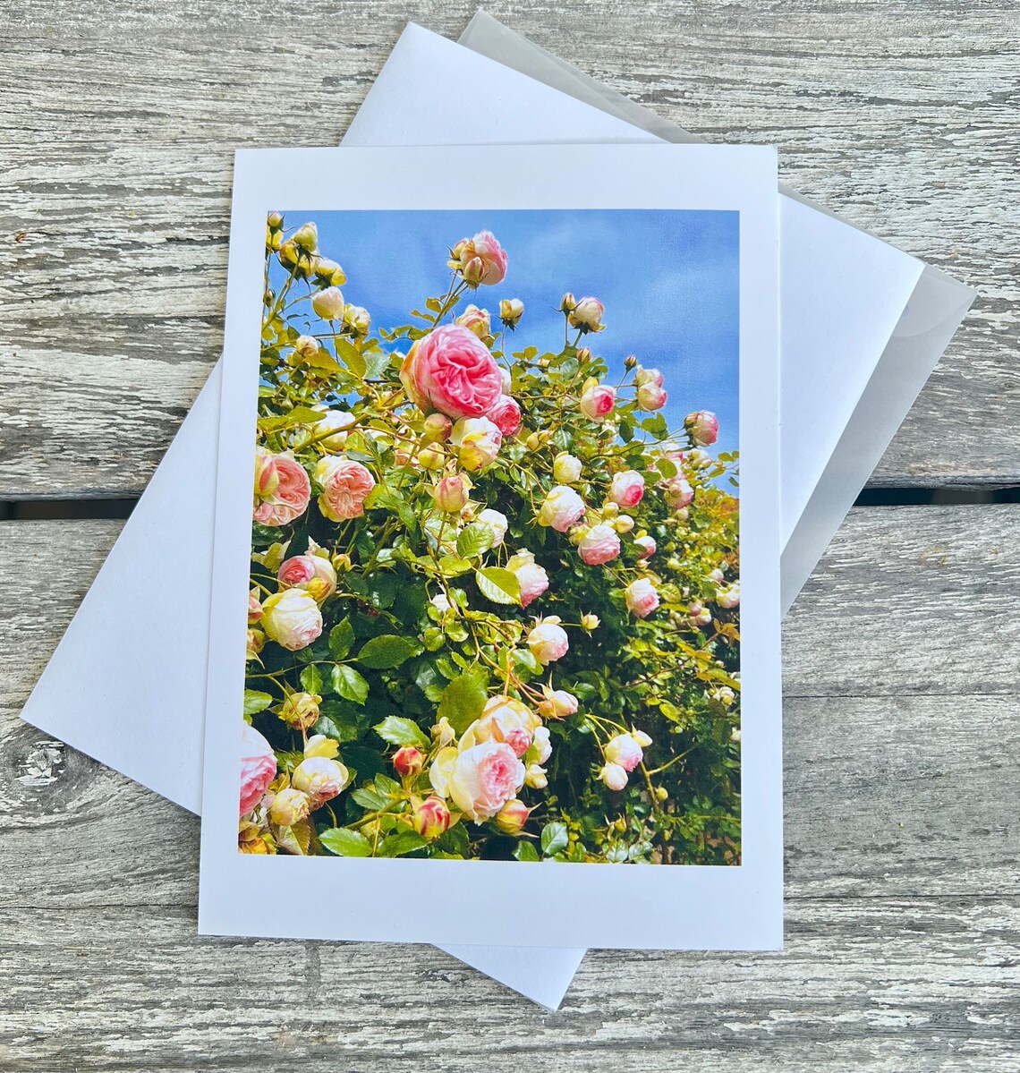 Eden Roses Note Card, Pink Roses Note Card, Floral Note Cards ...