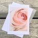 Pink Rose Note Card, Rose Greeting Card, Floral Note Cards, Botanical ...