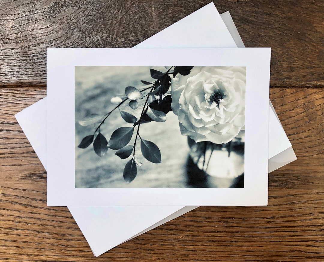 Rose Note Card, Rose Photograph, Floral Note Cards, Botanical Note ...