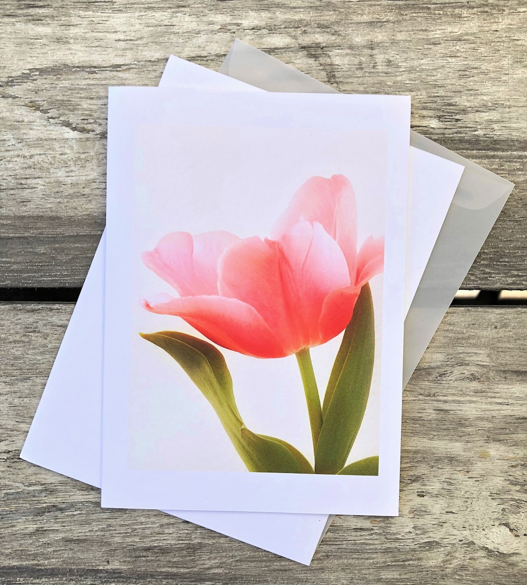 Tulip Note Card, Pink Tulip, Floral Note Cards, Botanical Note Cards ...