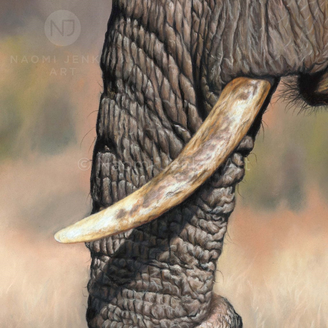 Elephant Art Print - Limited Edition Giclée Print - A2, A3, A4 - Etsy
