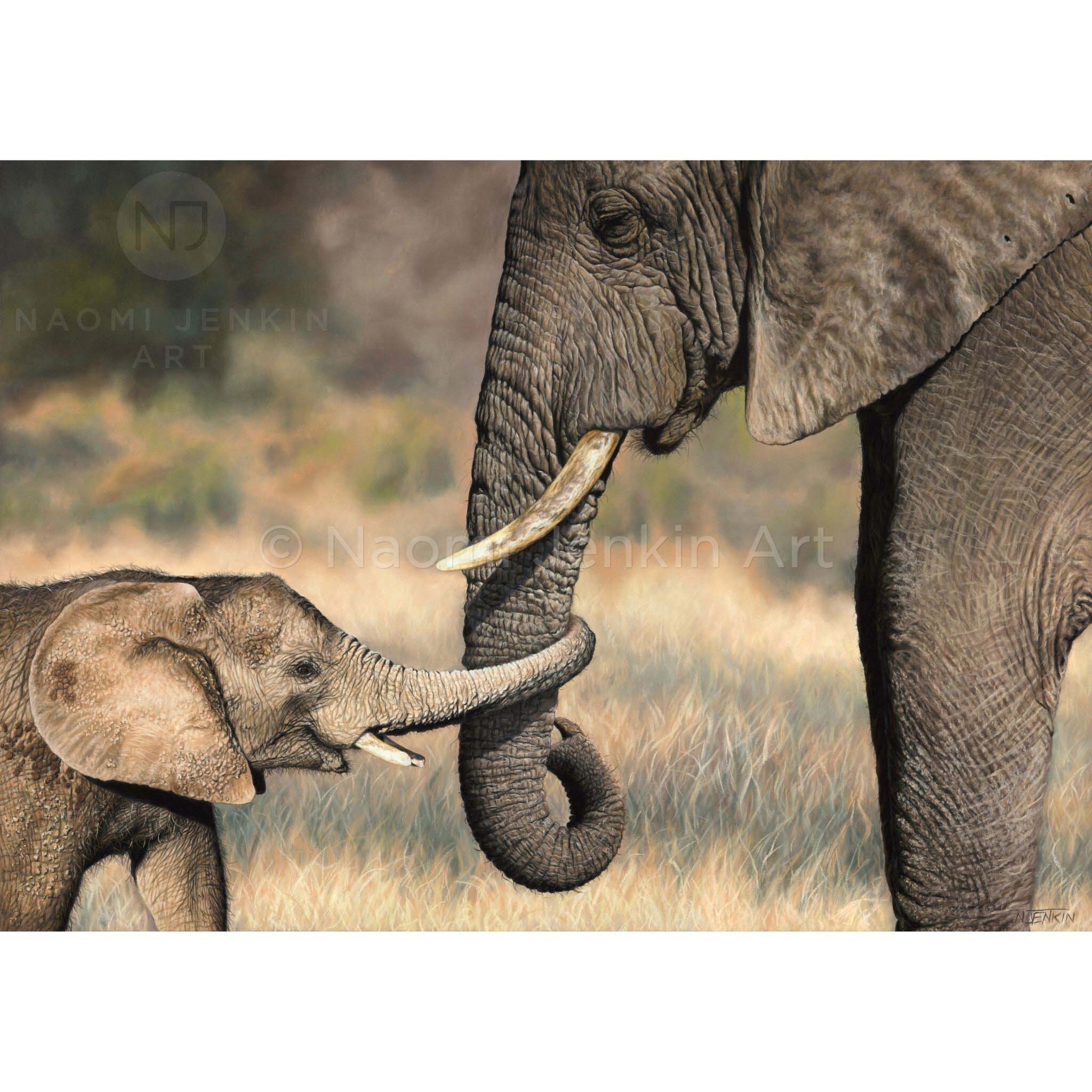 Elephant Art Print - Limited Edition Giclée Print - A2, A3, A4 - Etsy