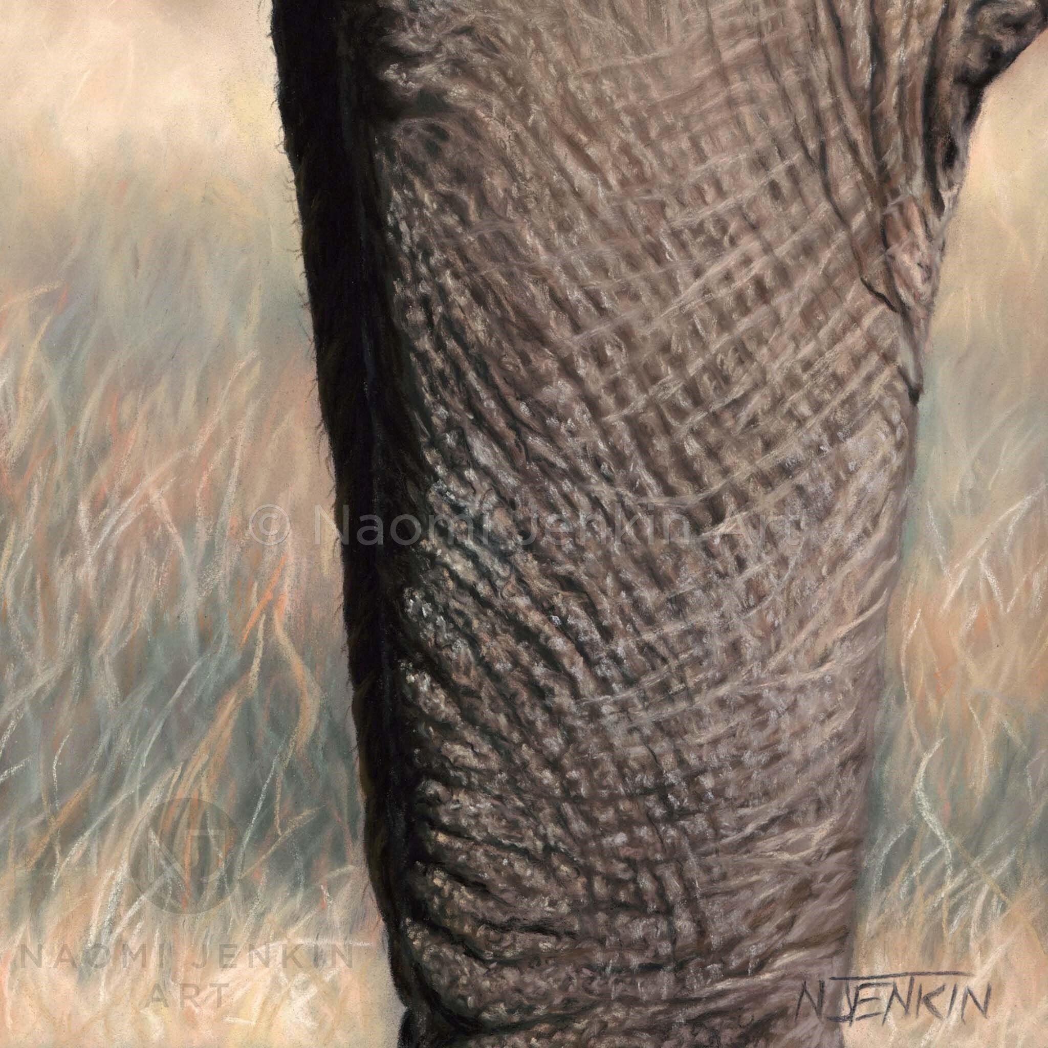 Elephant Art Print - Limited Edition Giclée Print - A2, A3, A4 - Etsy
